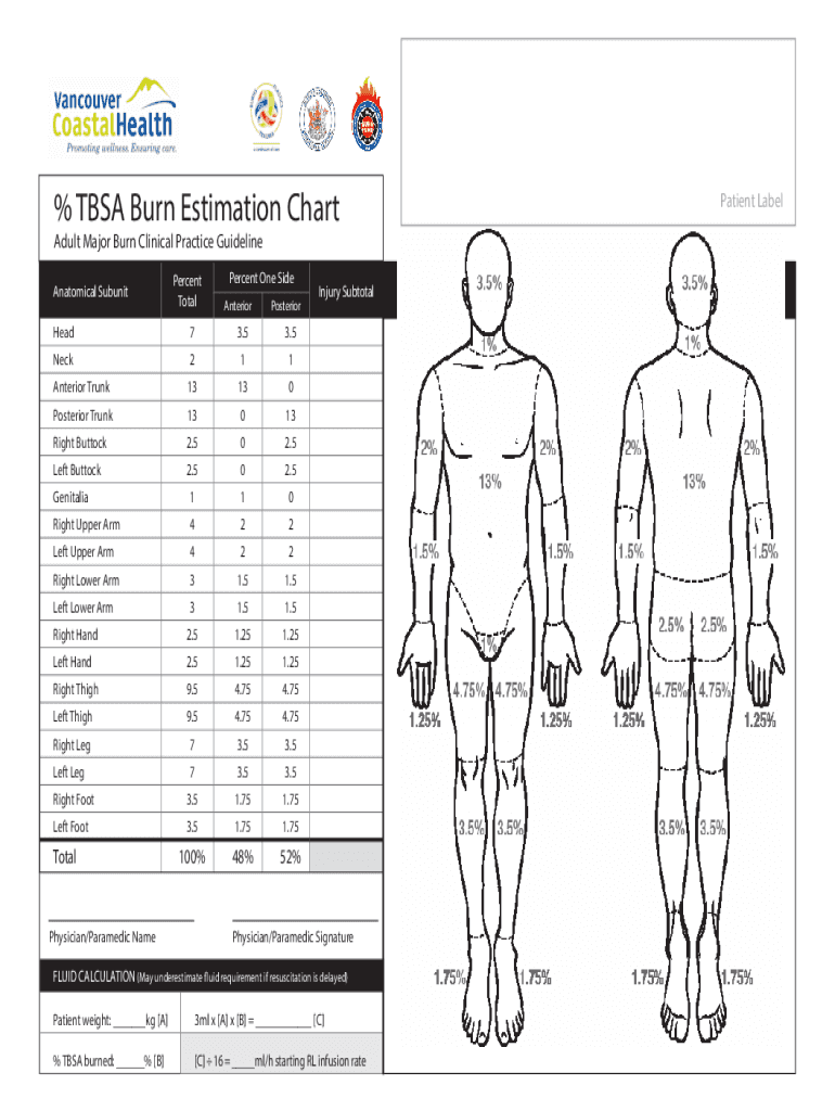 Fillable Online American Burn Association Clinical Practice Guidelines ...