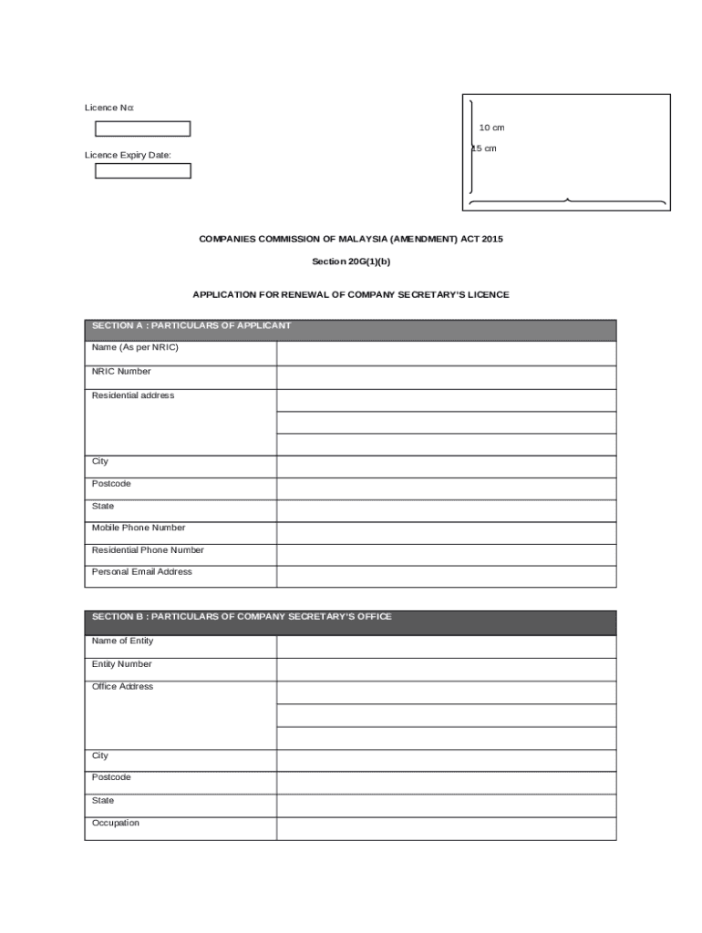 CCM Issues Guidelines and FAQs on Company Secretaries Doc Template ...
