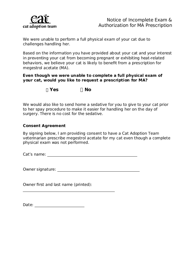 Cat ScansThe Importance of the Feline Physical Exam Doc Template ...