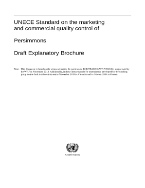 Draft Explanatory Brochure Doc Template | pdfFiller