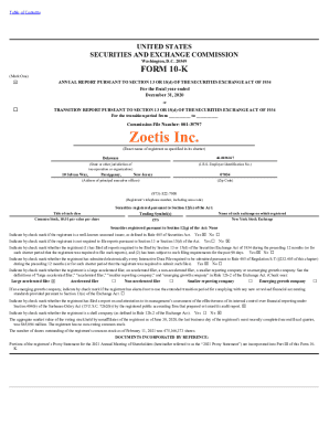 Fillable Online definitions of large accelerated filer, accelerated ...