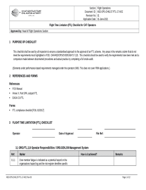 Flight Inspection Report (Flight Deck and Navigation Aeroplane ...