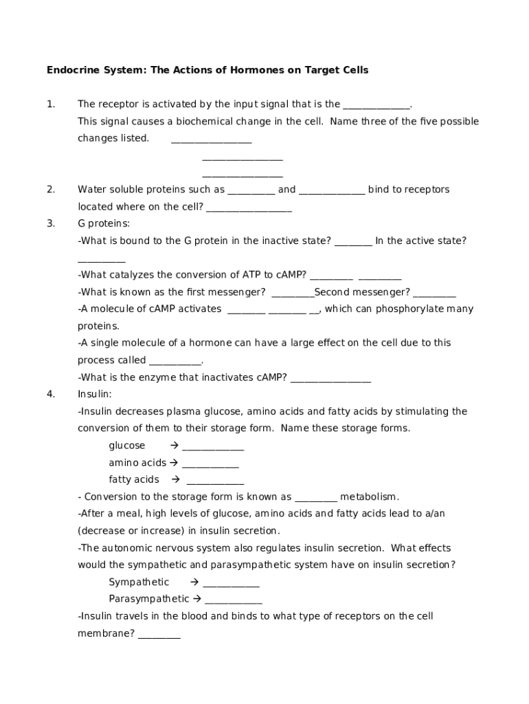 Endocrine System: The Actions of Hormones on Target Cells Doc Template ...