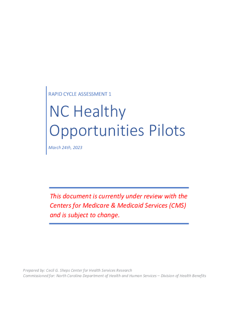 Fillable Online Healthy Opportunities Pilots Rapid Cycle Assessment 1 ...