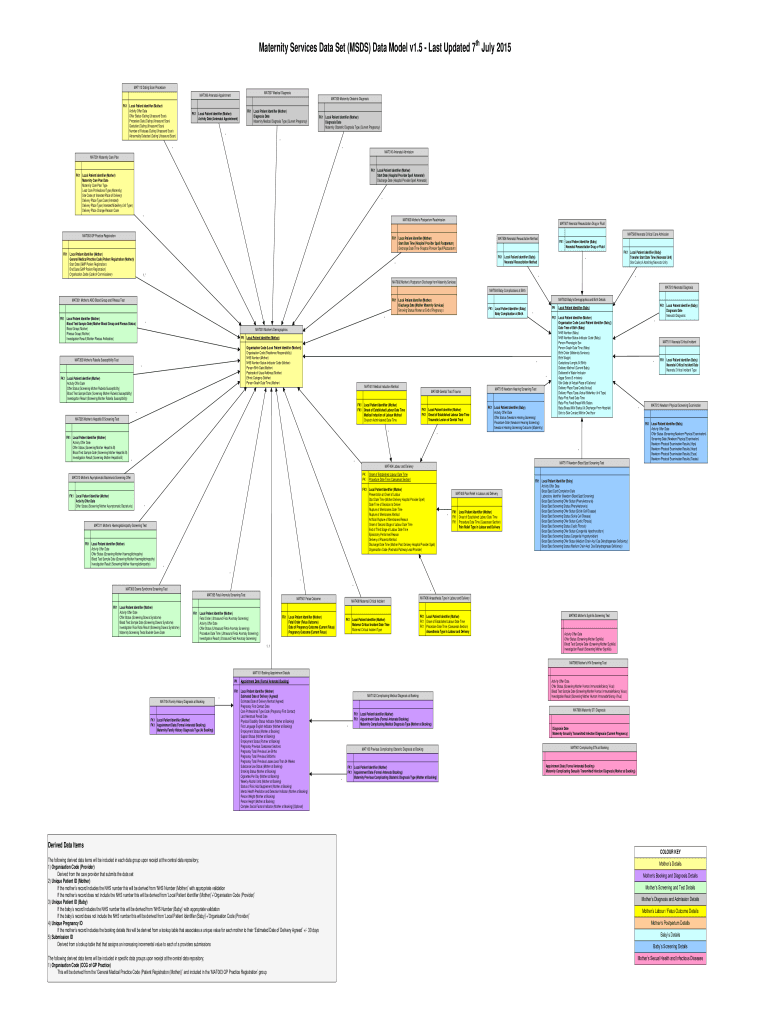 Fillable Online Maternity Services Data Set (MSDS) Data Model v1.5 Fax ...