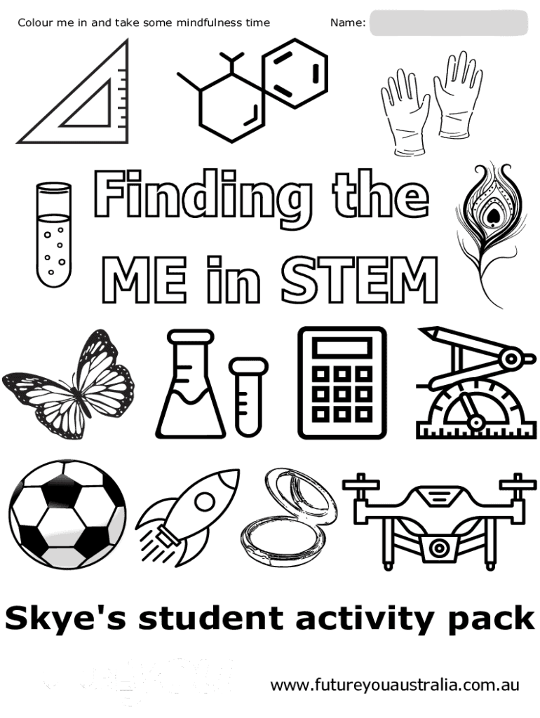 Fillable Online Skye Student Activity Pack Fax Email Print - pdfFiller