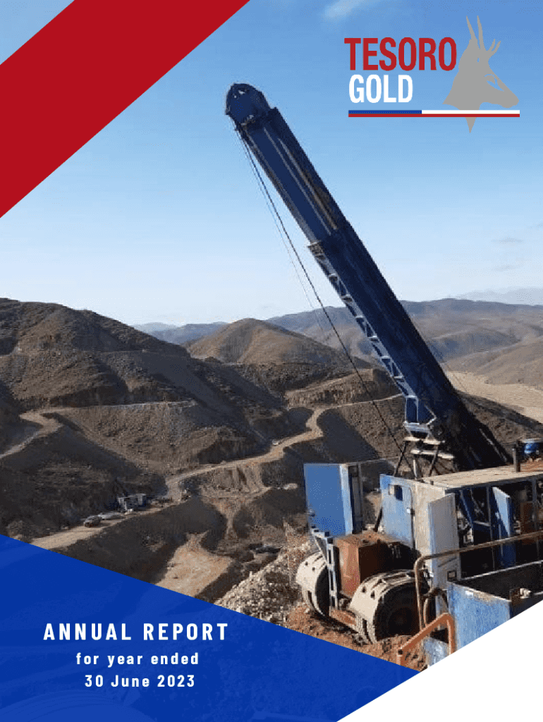 Fillable Online FINANCIAL SUMMARY FY2023 Fax Email Print - pdfFiller