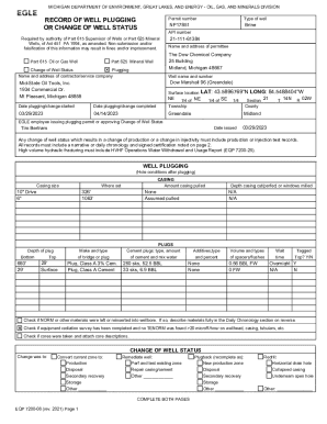 Fillable Online RECORD OF WELL PLUGGING Fax Email Print - pdfFiller