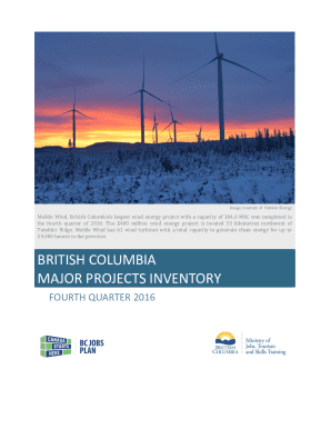 Fillable Online Pattern Energy's Meikle Wind Receives Project ...