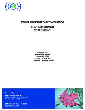 Fillable Online phase ii environmental site assessment 65 & 71 agnes ...