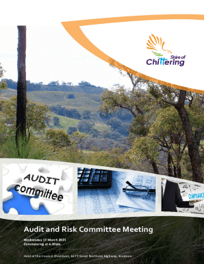 Fillable Online Audit & Risk Committee Fax Email Print - pdfFiller