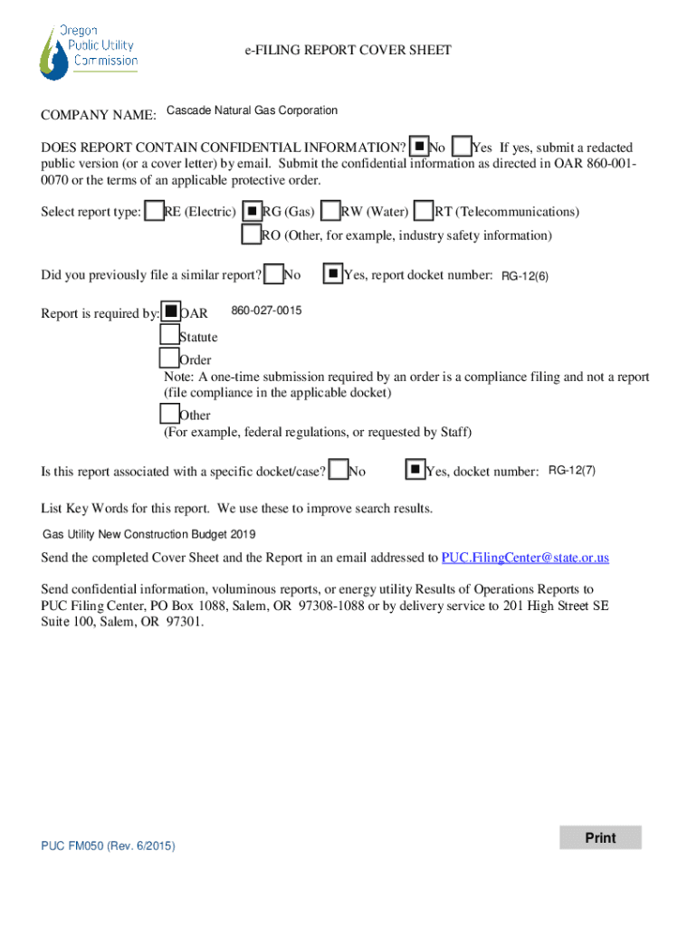 Fillable Online Electronic filing procedure - Capital income tax relief ...