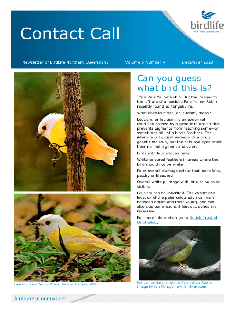 Fillable Online direct birdlife org Call of the Pale-yellow Robin is a bit dullBirds in Sydney ...