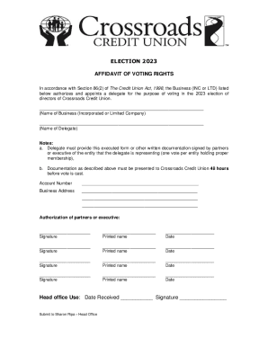 Fillable Online election 2023 affidavit of voting rights Fax Email Print - pdfFiller