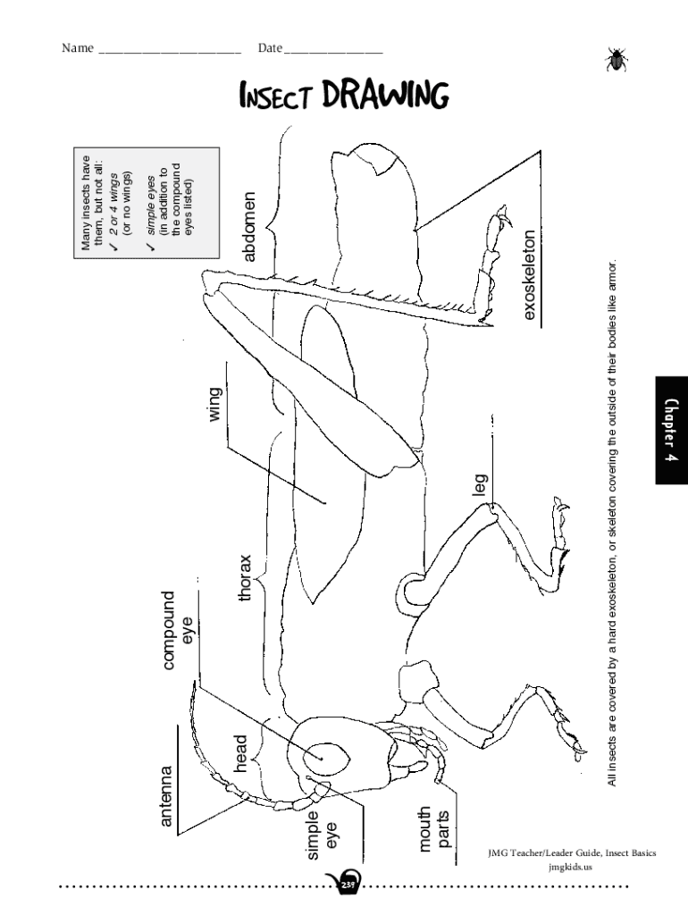 Fillable Online 312, Insect Anatomy and Growth - Colorado Master ...