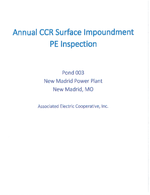 Fillable Online Annual CCR Surface Impoundment PE Inspection Fax Email ...