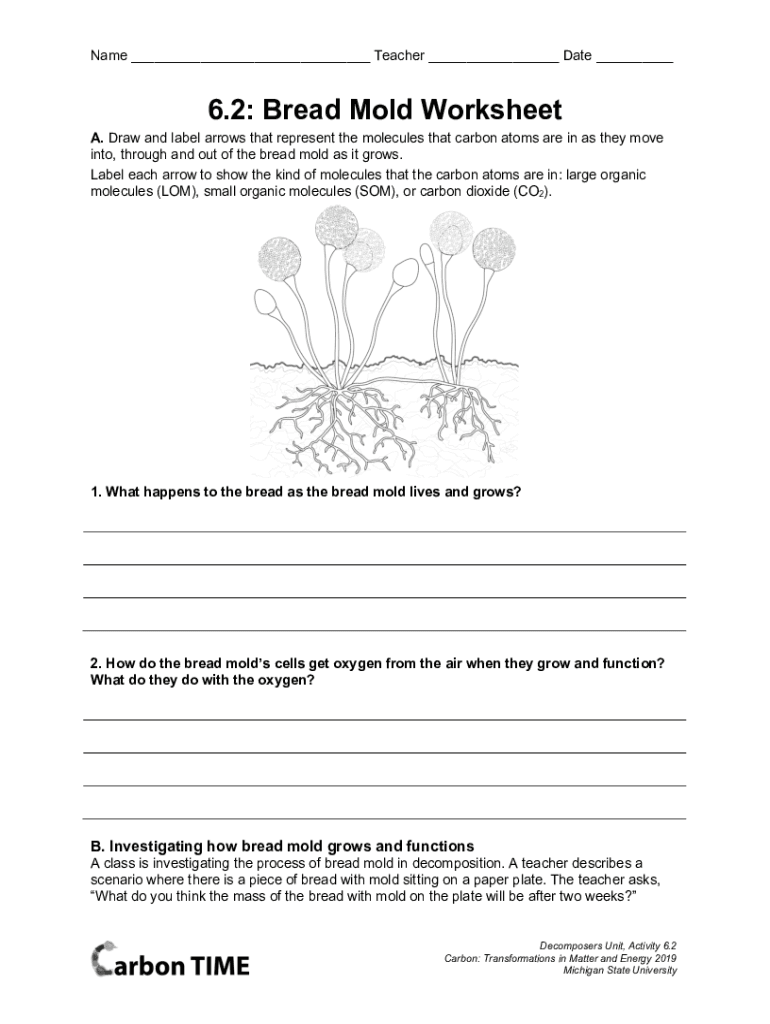 Fillable Online Bread Mold Worksheet.pdf - Name: The Moldy Bread... Fax ...