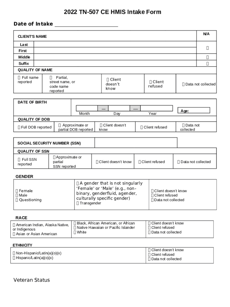 HMIS Data Elements and Definitions Doc Template | pdfFiller