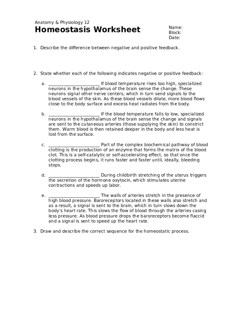01 homeostasis worksheet.docx - Anatomy & Physiology ... Doc Template ...