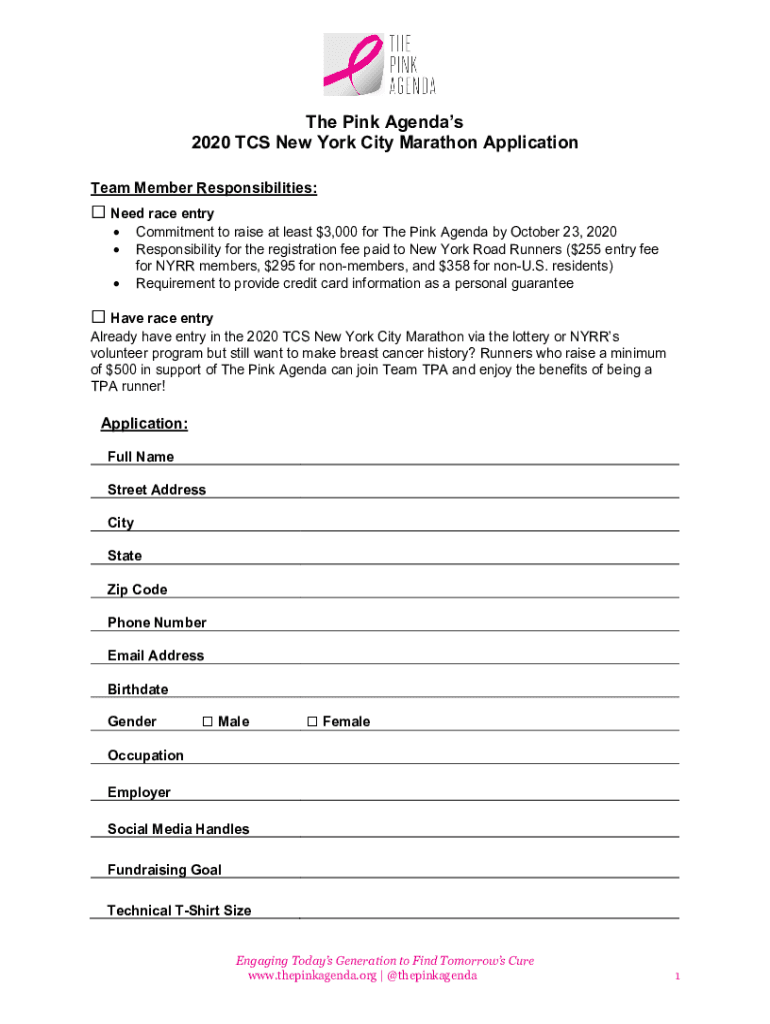 Fillable Online Michael DeMatteis's fundraising page for The Pink ...