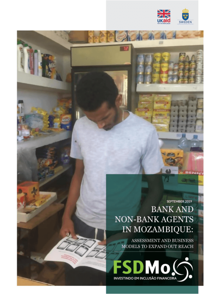 Fillable Online Financial Sector Deepening Mozambique: The Regulatory ...