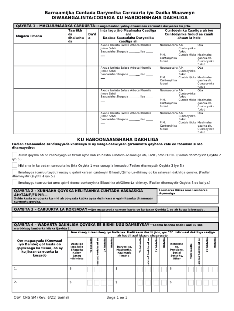 Tilmaamaha iyo Talaabooyinka Dib u Furida Daryeel ... Doc Template ...