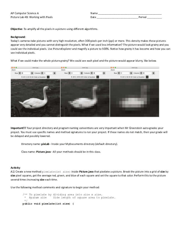 Fillable Online AP Computer Science A Picture Lab Student Guide Fax ...