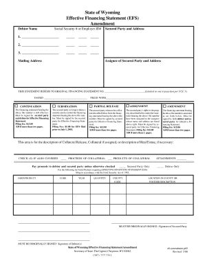 Fillable Online vote wyoming Efs amendment.p65 - Wyoming Secretary of ...