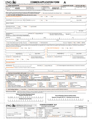 Fillable Online common application form - RR Finance Fax Email Print ...