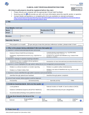 Clinical Audit Project Plan Template Doc Template | pdfFiller