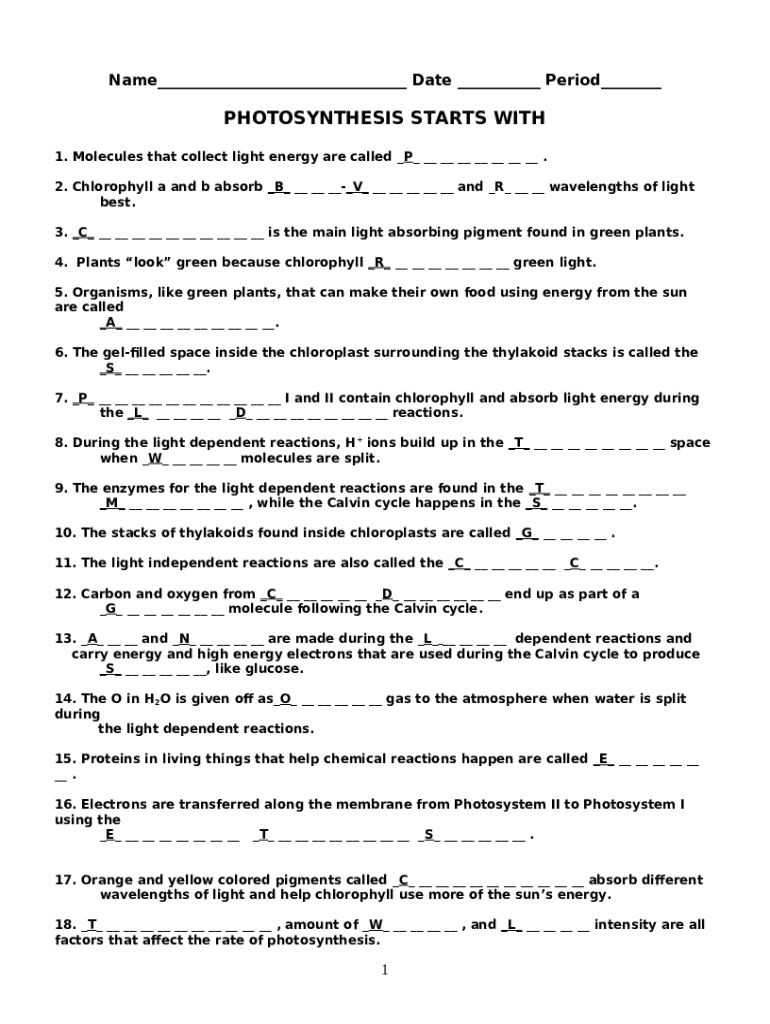 Photosynthesis Worksheet - Blank Fillable Template | Fill Out, Print ...