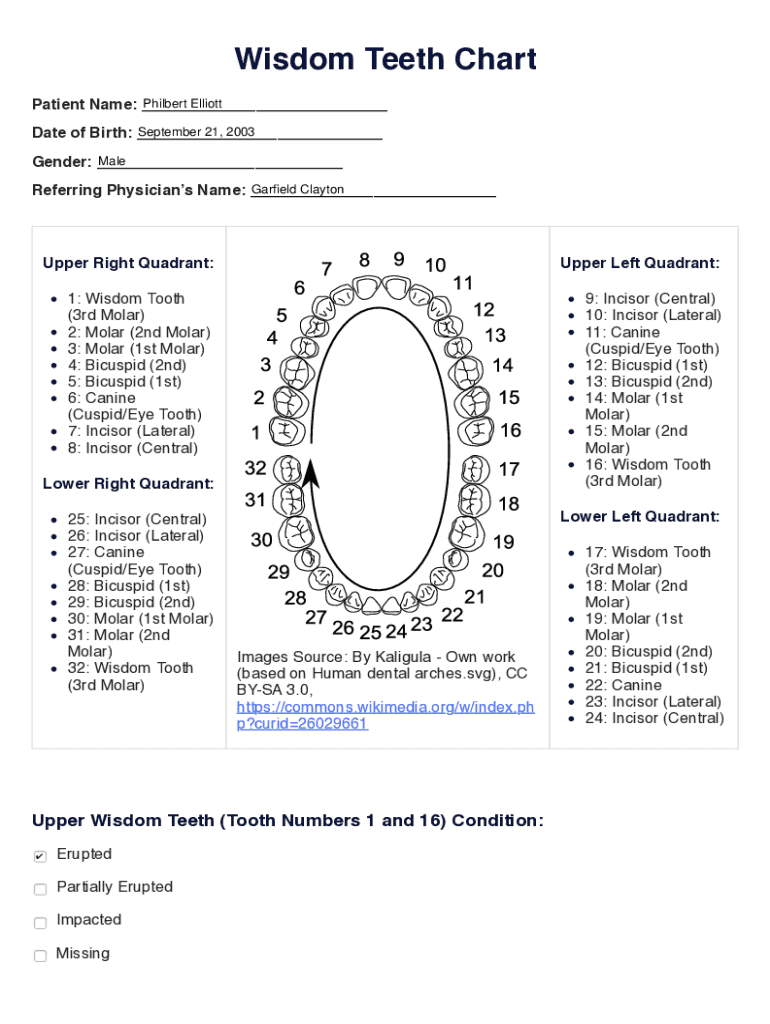 Fillable Online Dental Charting Template PDF Fax Email Print - pdfFiller