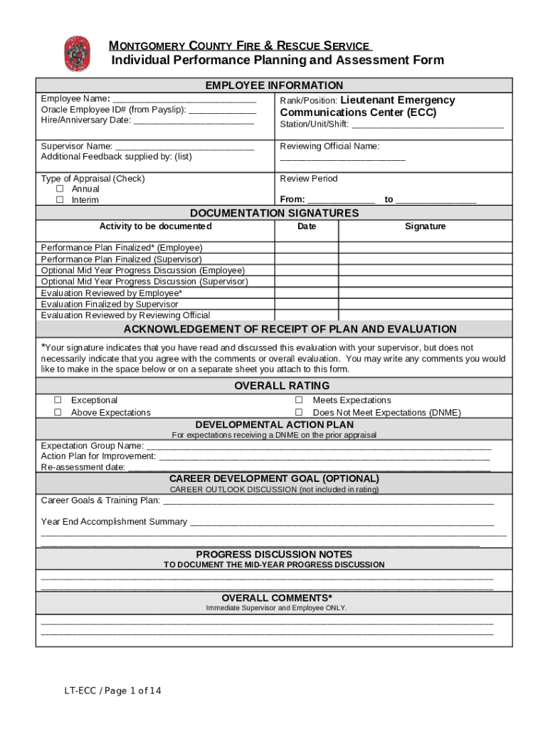 Individual Perance Planning and Assessment Doc Template | pdfFiller