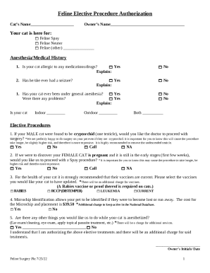 Medical/Surgical Release Cat Doc Template | pdfFiller