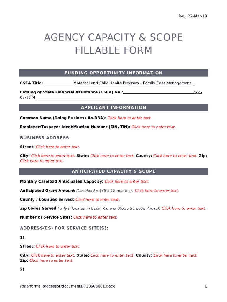 Maternal & Child Health Program-Better Birth Outcomes ... Doc Template ...