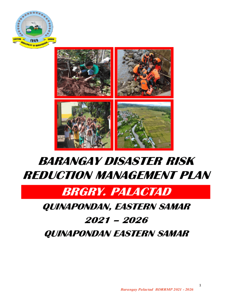 Fillable Online National Disaster Risk Reduction and Management Plan ...