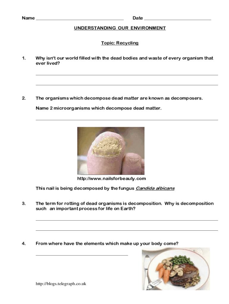 Fillable Online UNDERSTANDING OUR ENVIRONMENT Topic: Recycling Fax ...