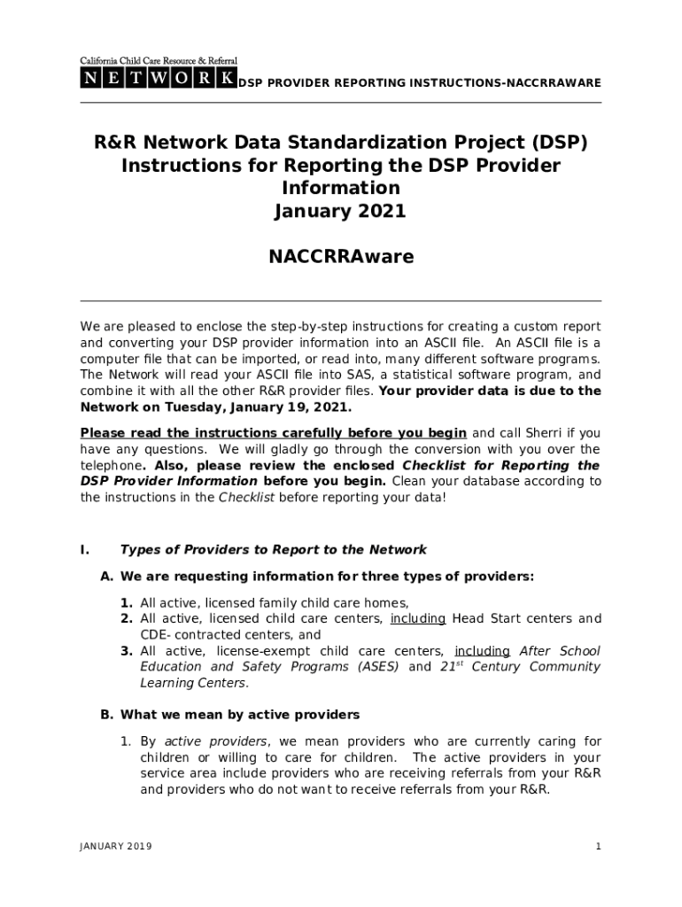 Instructions for Reporting the DSP Provider Ination Doc Template ...