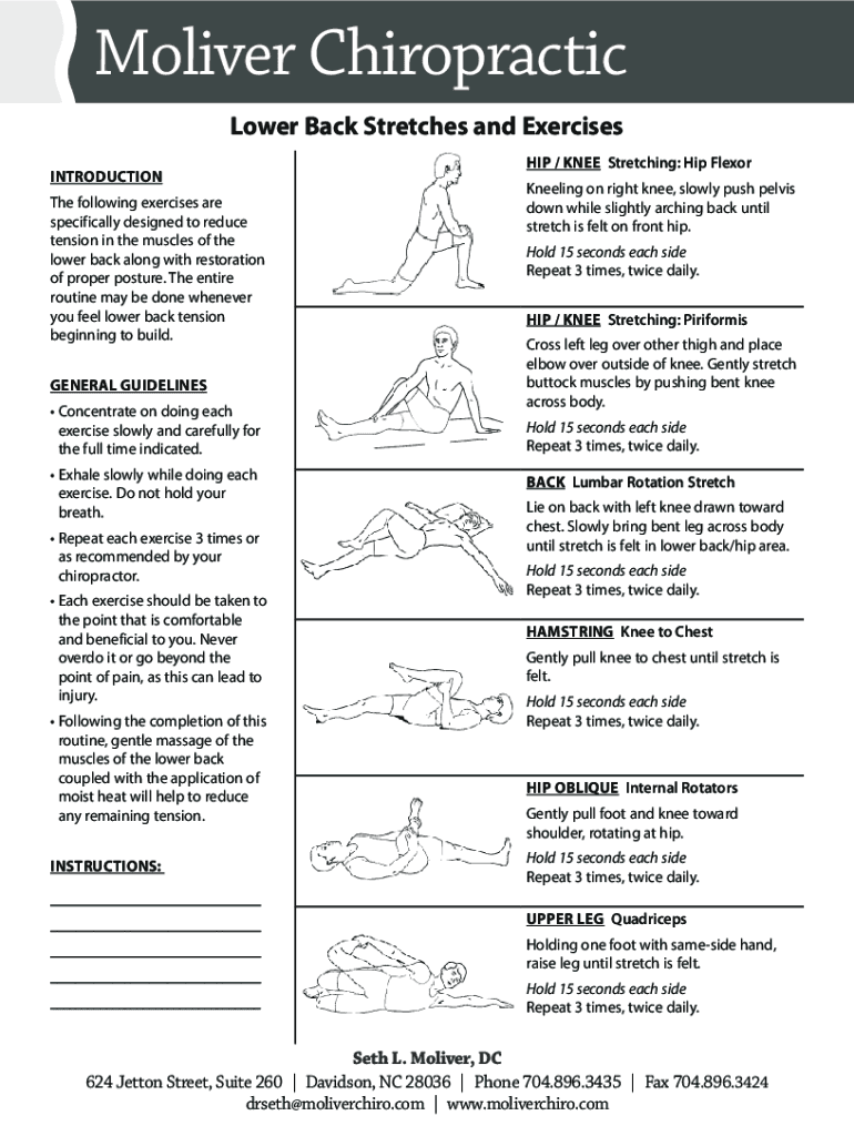 Fillable Online Lower Back Pain Relief - Back Strain Stretches and ...