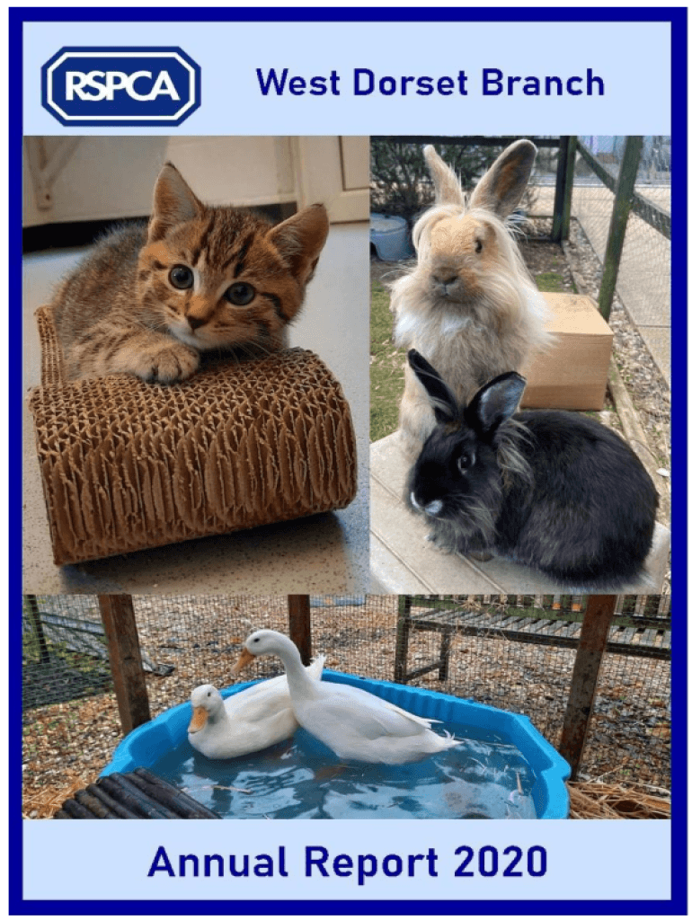 Fillable Online RSPCA West Dorset Branch - Charity Commission Fax Email ...