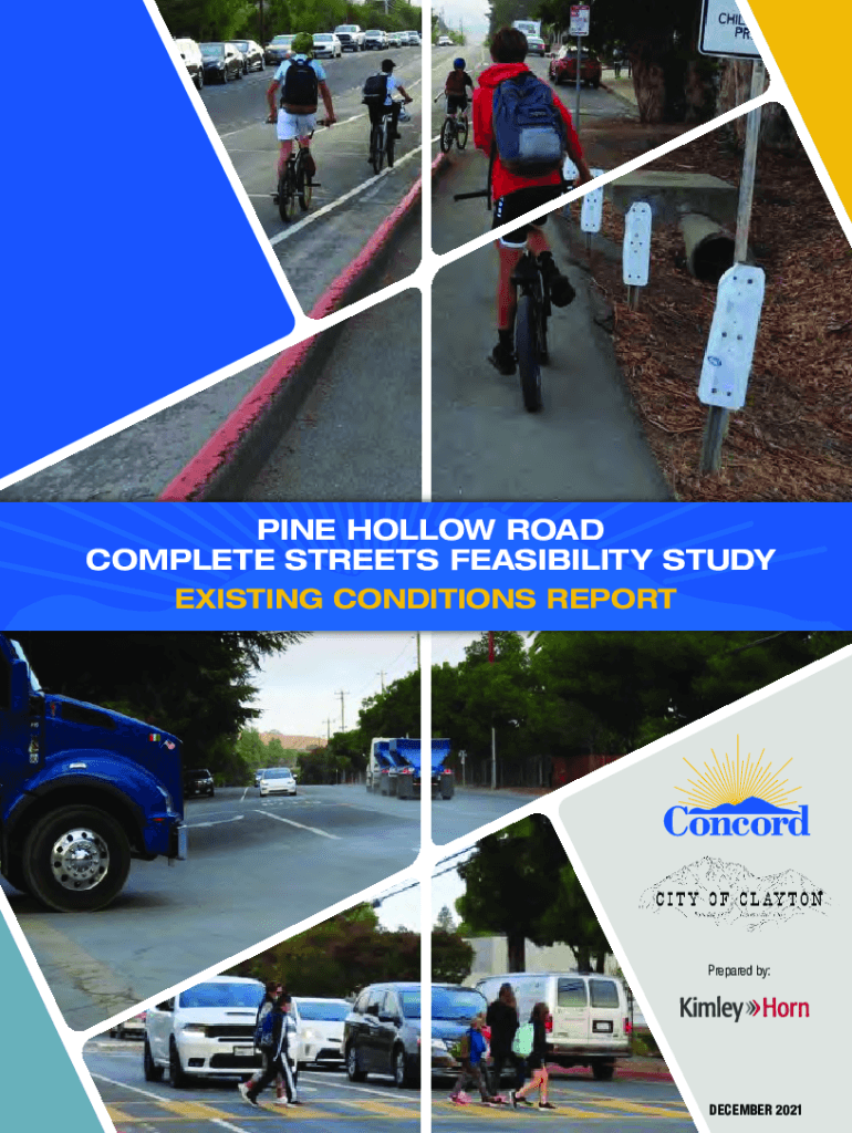 Fillable Online PINE HOLLOW ROAD COMPLETE STREETS FEASIBILITY STUDY Fax ...