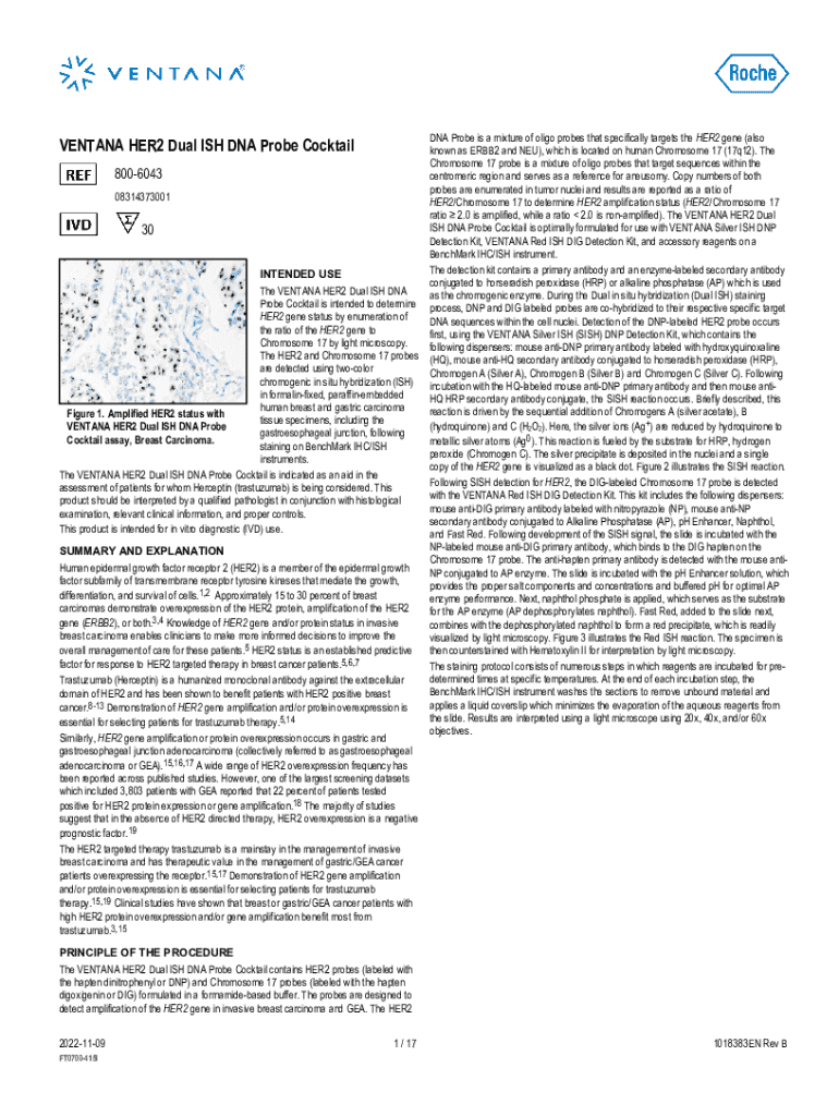 Fillable Online Ventana INFORM HER2 Dual ISH DNA Probe Cocktail Assay Fax Email Print - pdfFiller
