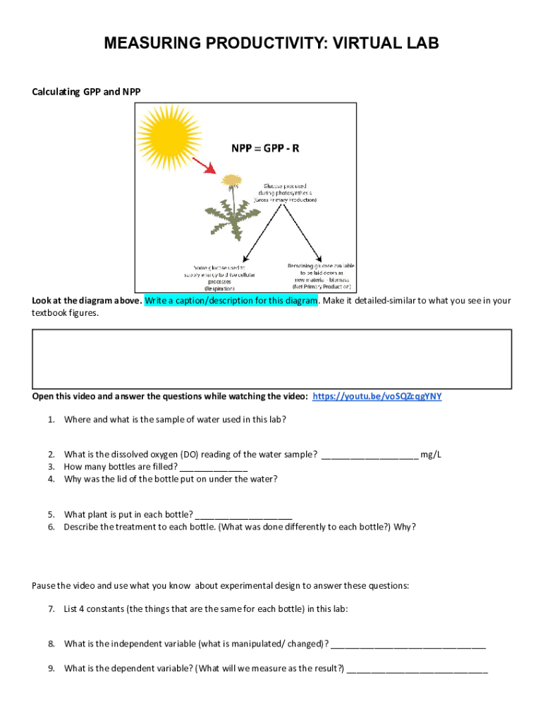 Fillable Online Copy Of Virtual Lab Calculating Gpp And Npp Mini Lab