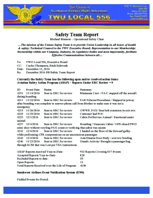Fillable Online Safety Team Report Fax Email Print - pdfFiller