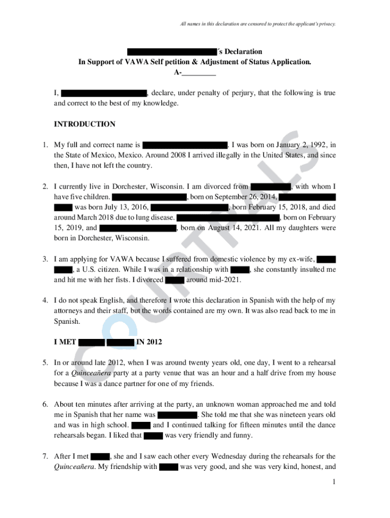 Fillable Online 1 s Declaration In Support of VAWA Self petition ...