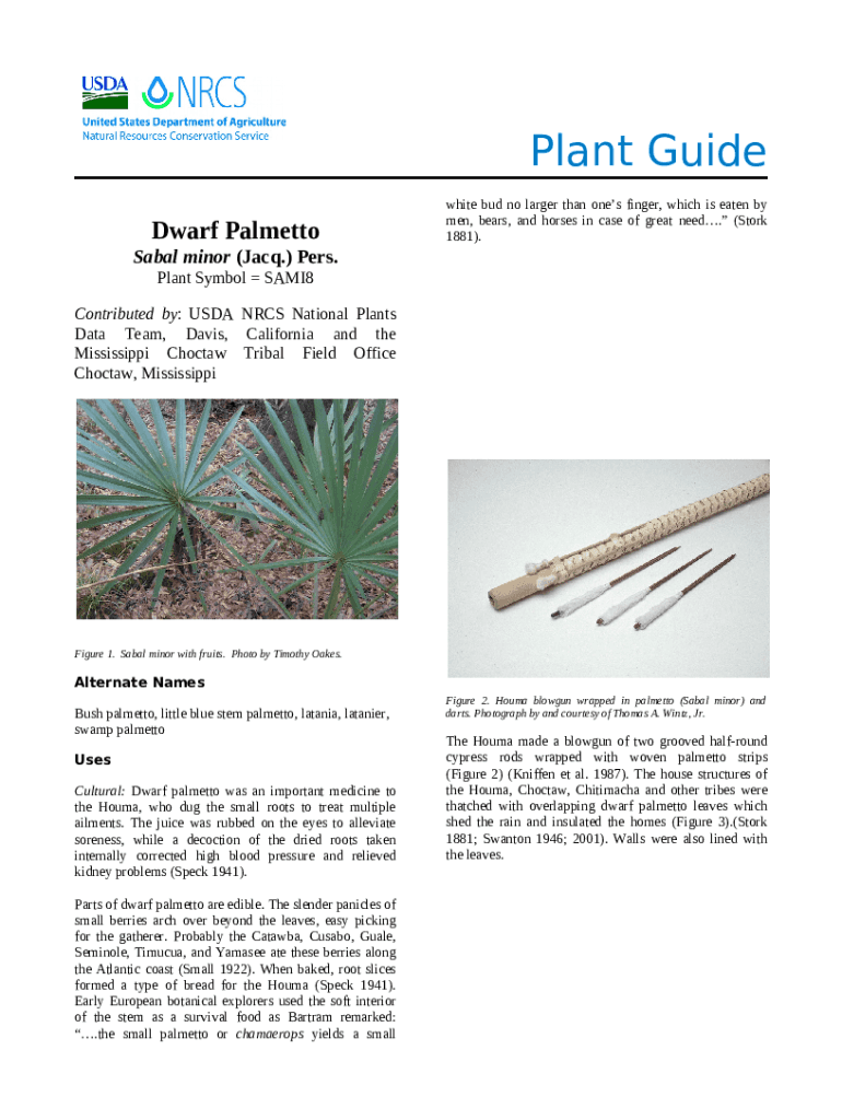 Saw Palmetto Plant Guide. Template for preparing an NRCS Plant Guide ...