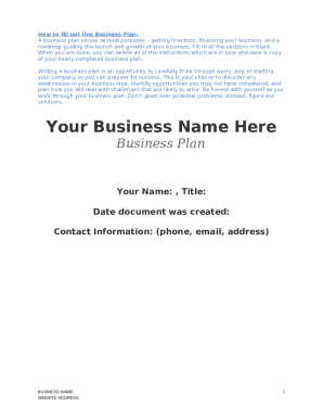 Business Plans 101: How to Write a Business Plan Doc Template | pdfFiller