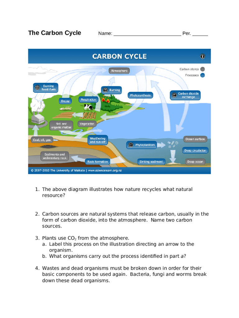 3 The Carbon Cycle worksheet.docx Doc Template | pdfFiller