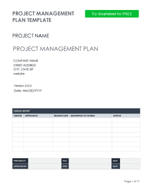 Fillable Online Project Management Outline Template Example Fax Email