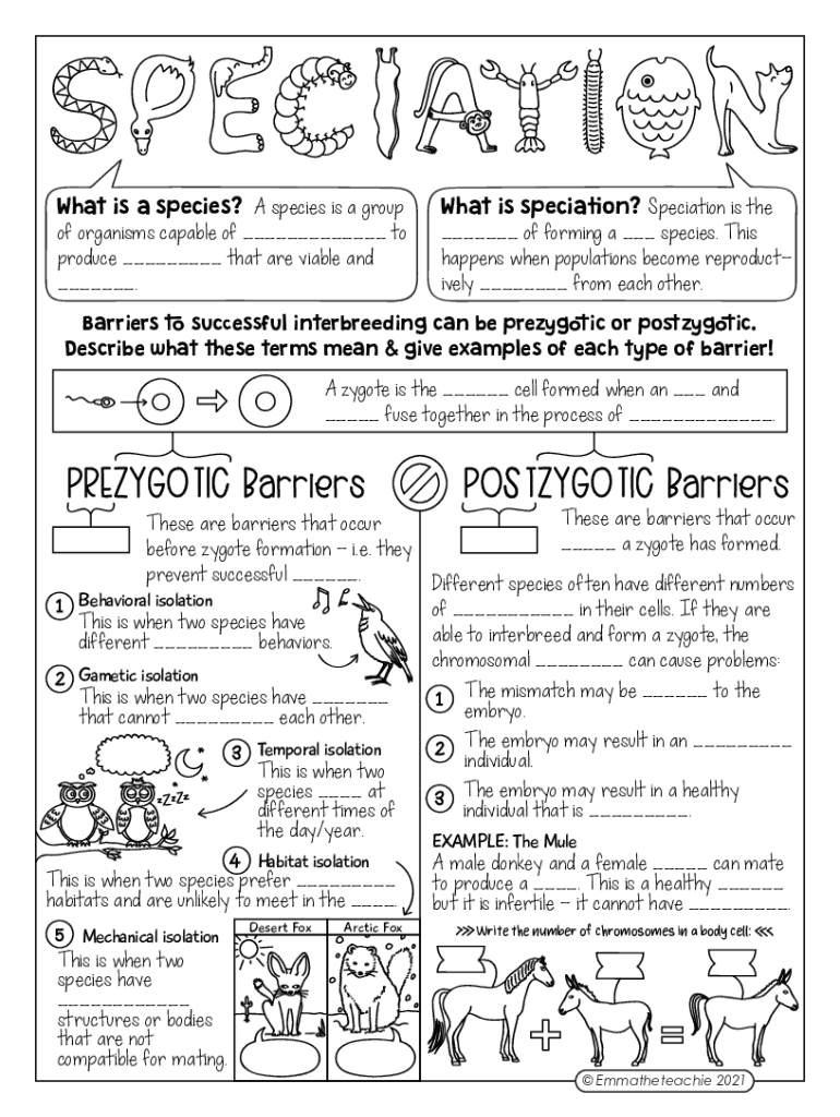 Fillable Online 04 Speciation and Evolution - Scaffolded black and ...